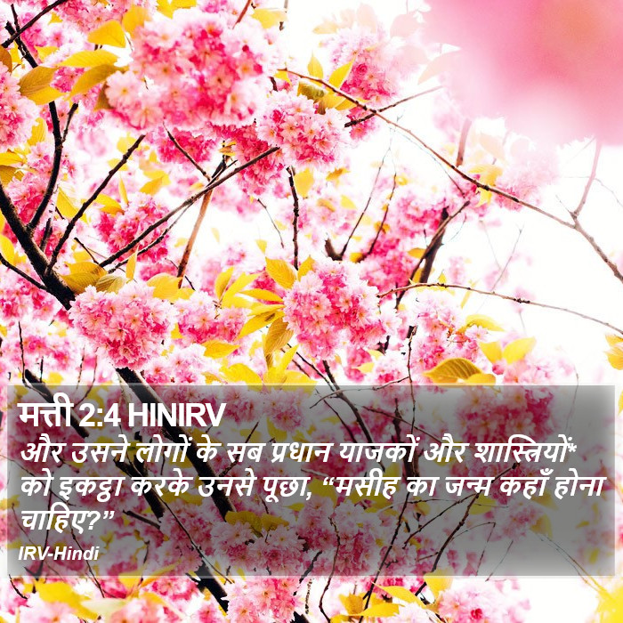 मत्ती 2:4 HINIRV - और उसने लोगों के सब